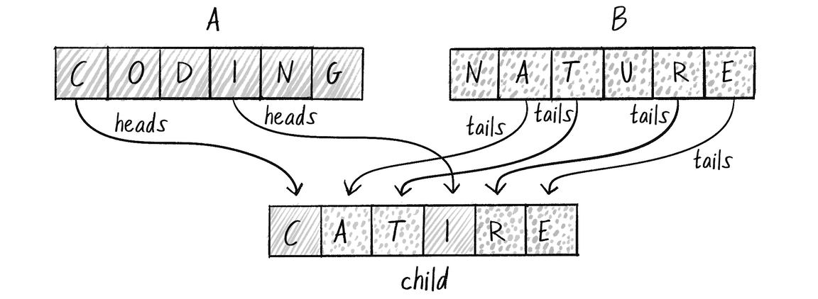 9. Evolutionary Computing / Nature of Code
