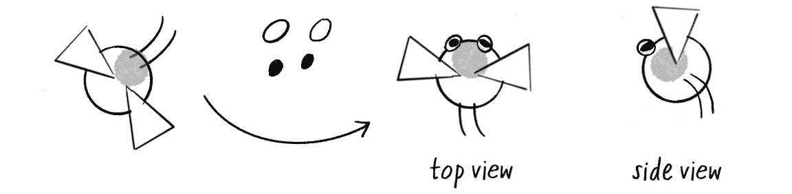 Appendix: Creature Design / Nature of Code